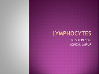 Lymphocytes | PPTX