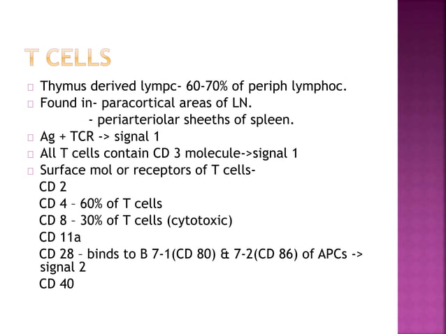 Lymphocytes | PPTX | Biological Sciences | Science