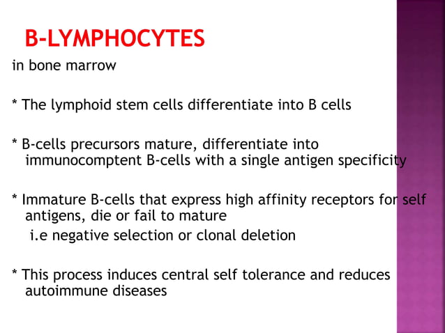 Lymphocytes | PPTX | Biological Sciences | Science