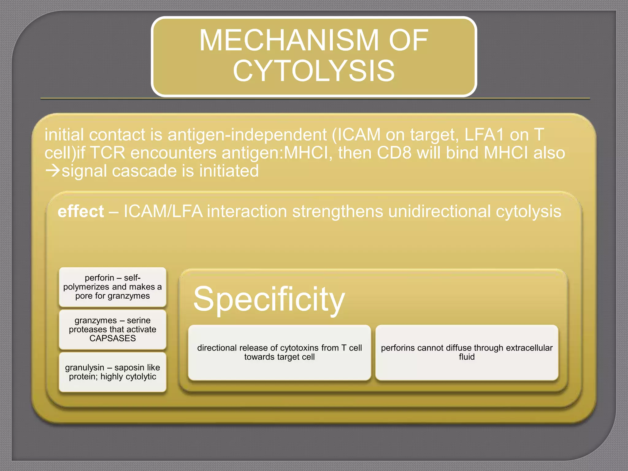 Lymphocytes Structure And Immunological Function Pptx