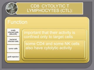 Lymphocytes : Structure & immunological Function | PPTX