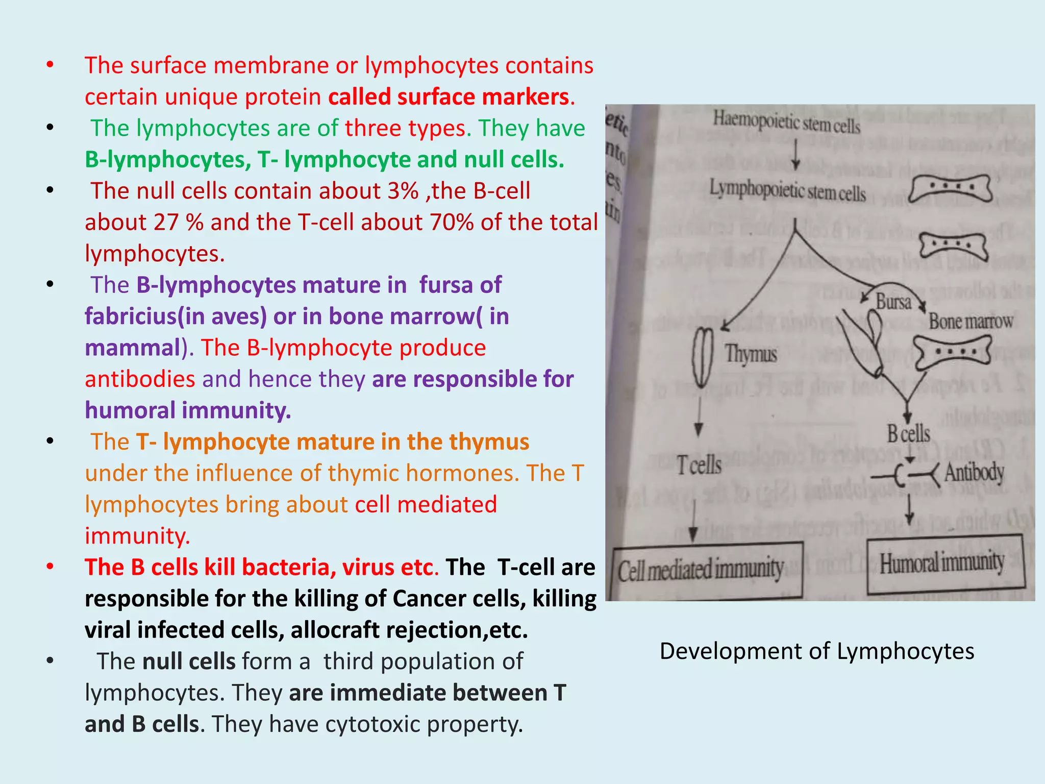 Lymphocytes -Types | PPTX
