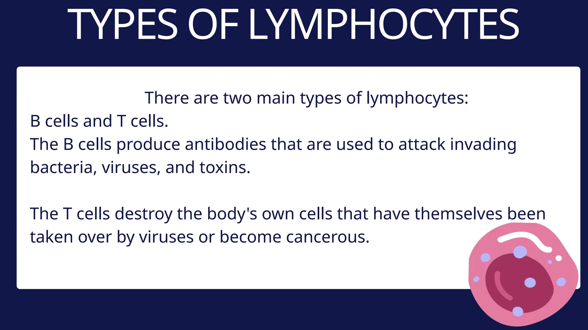 Lymphocytes and its functions and diseases. | PPT