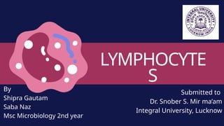Lymphocytes and its functions and diseases. | PPTX