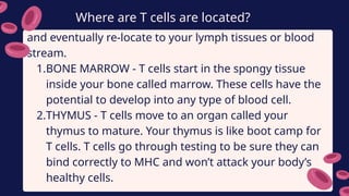 Lymphocytes and its functions and diseases. | PPT