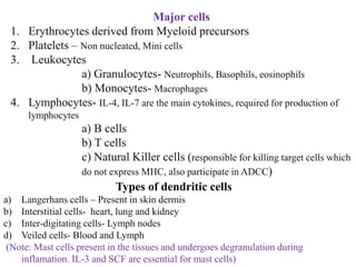 Lymphocytes development, Dr. Akshat Uniyal | PPT