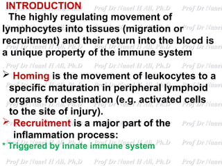 Lymphocytes migration homing and trafficking.pptx