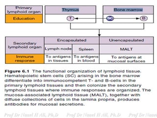 Lymphocytes migration homing and trafficking.pptx