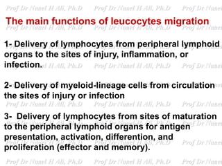 Lymphocytes migration homing and trafficking.pptx