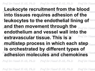 Lymphocytes migration homing and trafficking.pptx