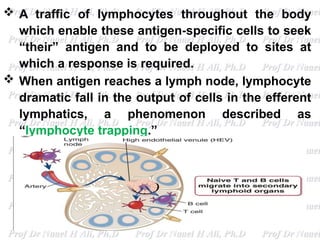 Lymphocytes migration homing and trafficking.pptx