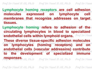 Lymphocytes migration homing and trafficking (1).pptx