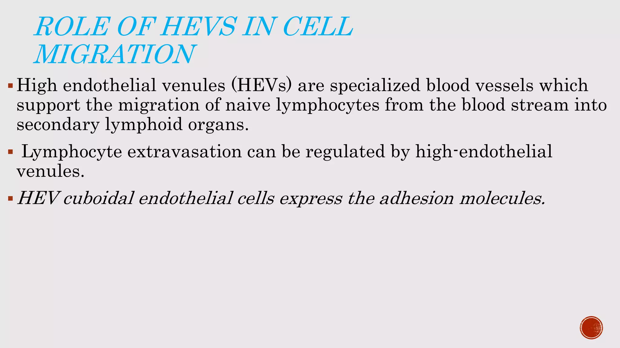 Lymphocyte traffic p.k.sonkar | PPTX