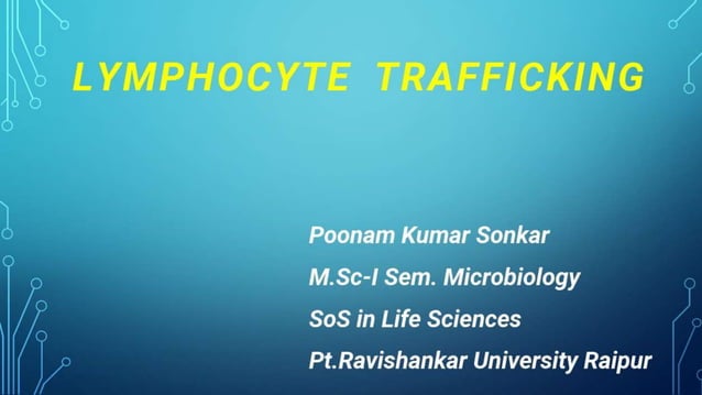 Lymphocyte traffic p.k.sonkar | PPTX | Biological Sciences | Science