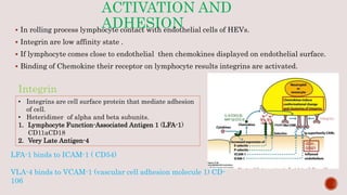 Lymphocyte traffic p.k.sonkar | PPTX