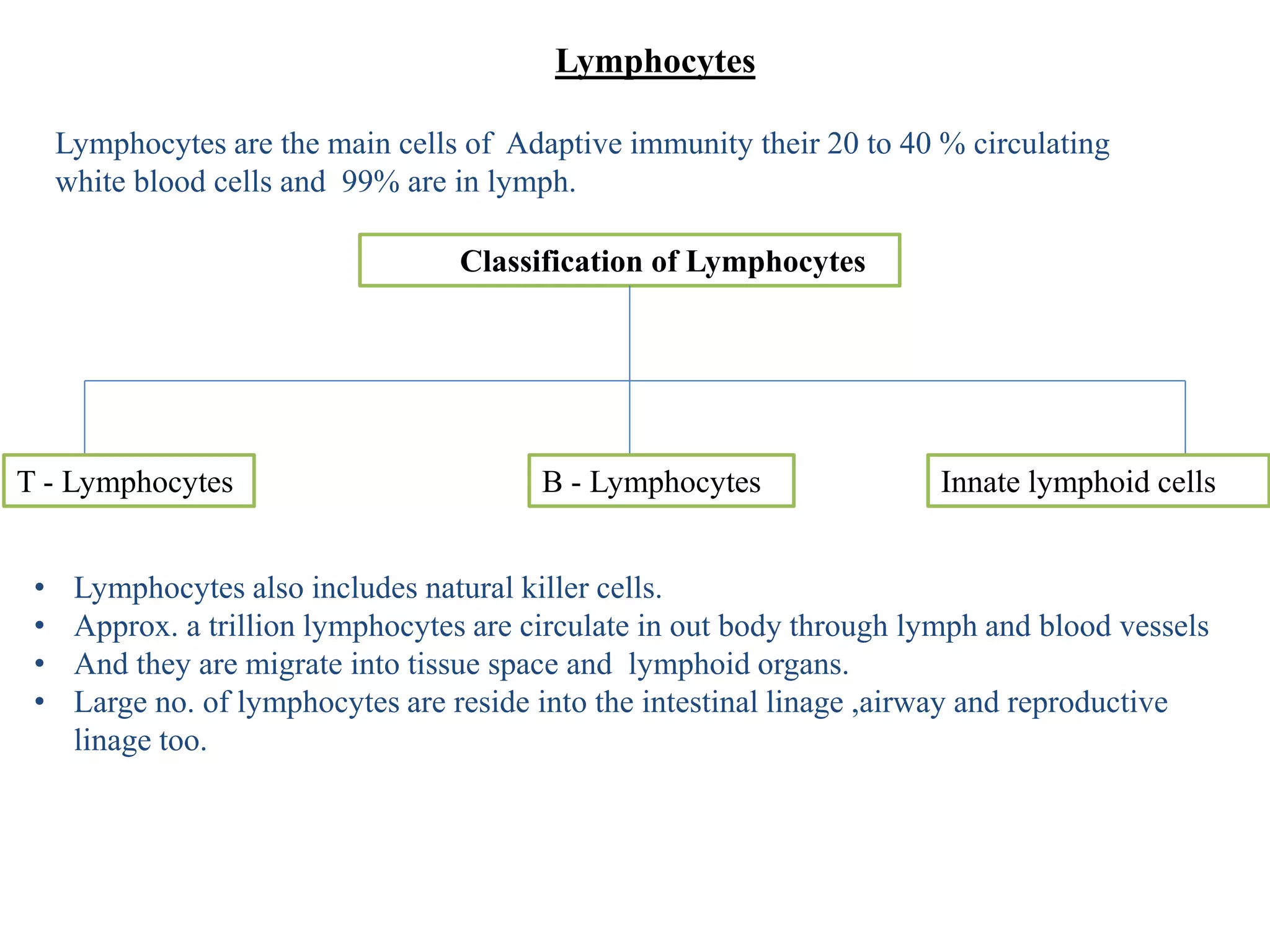 Lymphocytic cells involved in human immune system | PPTX