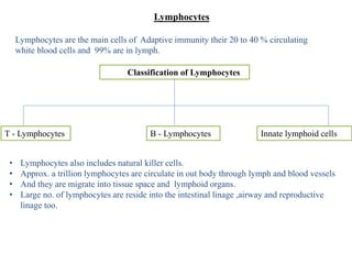 Lymphocytic cells involved in human immune system | PPTX