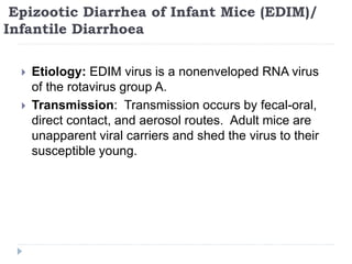 Lymphocytic choriomeningitis, murine hepatitis virus & infantile ...