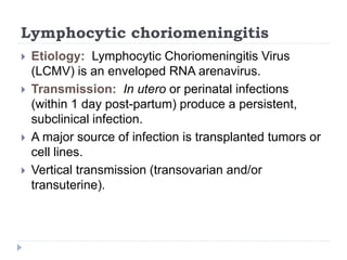 Lymphocytic choriomeningitis, murine hepatitis virus & infantile ...