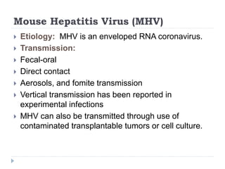 Lymphocytic choriomeningitis, murine hepatitis virus & infantile ...