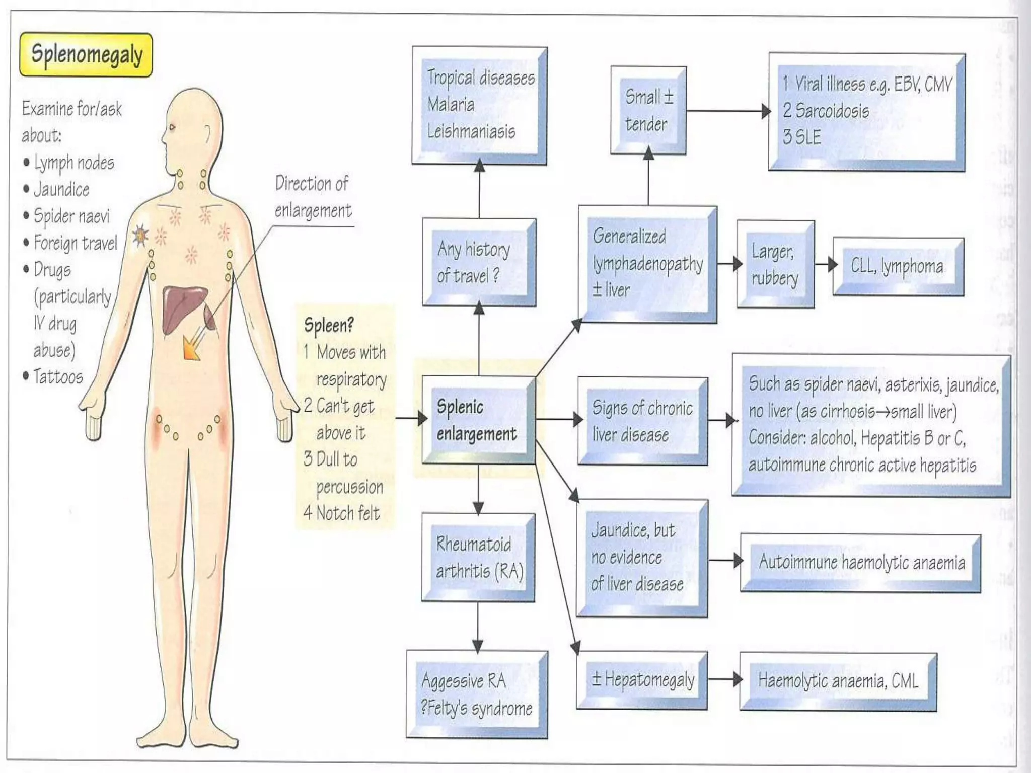 Lymphadenopathy & splenomegaly | PPTX