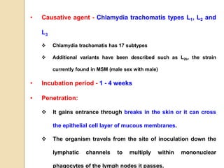 Lymphogranuloma Venereum Diagram
