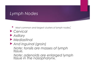 Lymphography rad 205-2013 | PPT