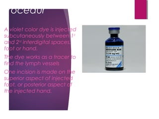 Lymphography rad 205-2013 | PPT