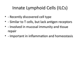 lymphoid lineage cell cycle WBC Cells in | PPTX