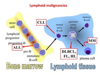 Lymphoid malignancies | PPTX | Blood Disorders | Diseases and Conditions