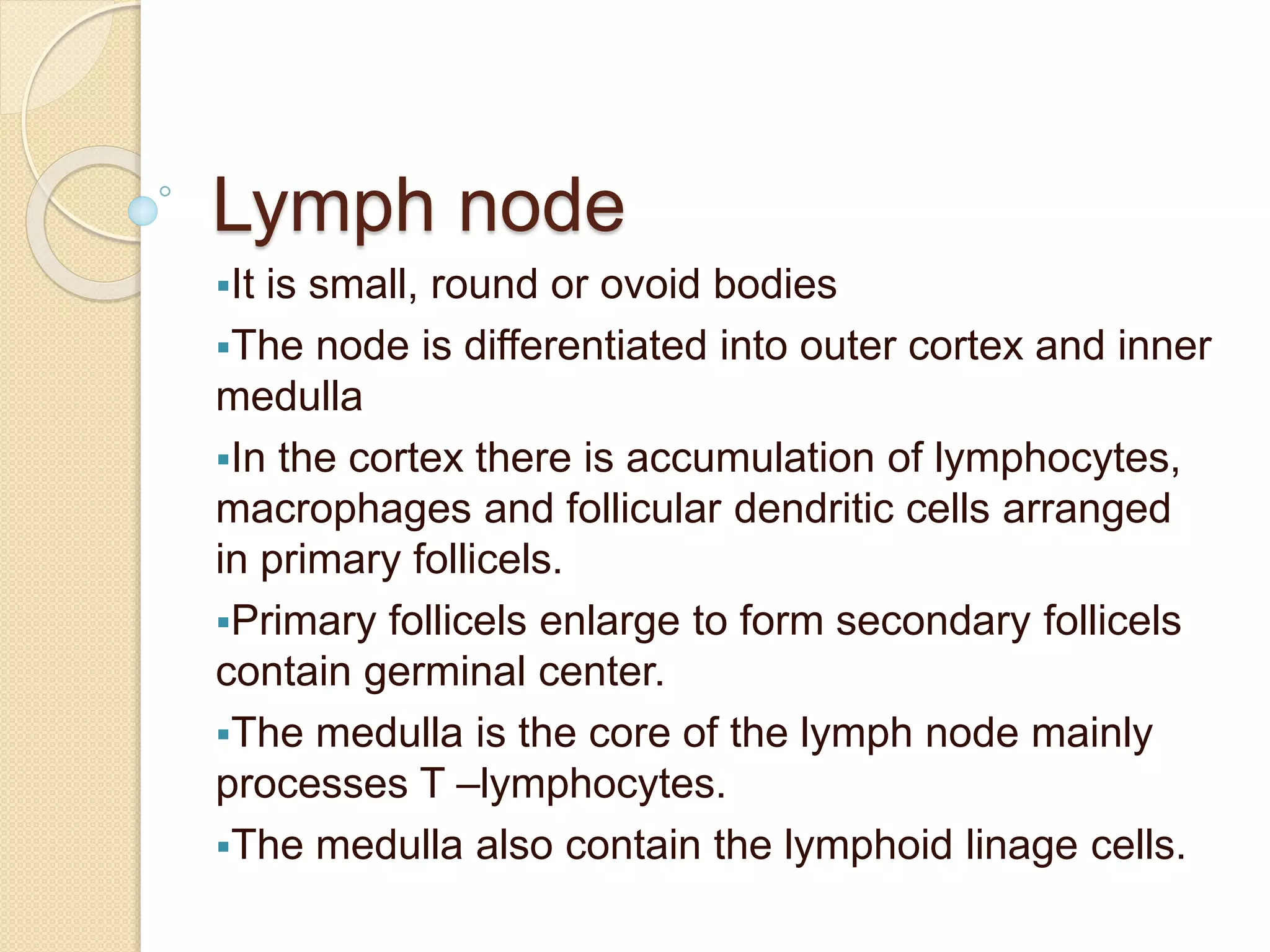 Lymphoid system | PPTX