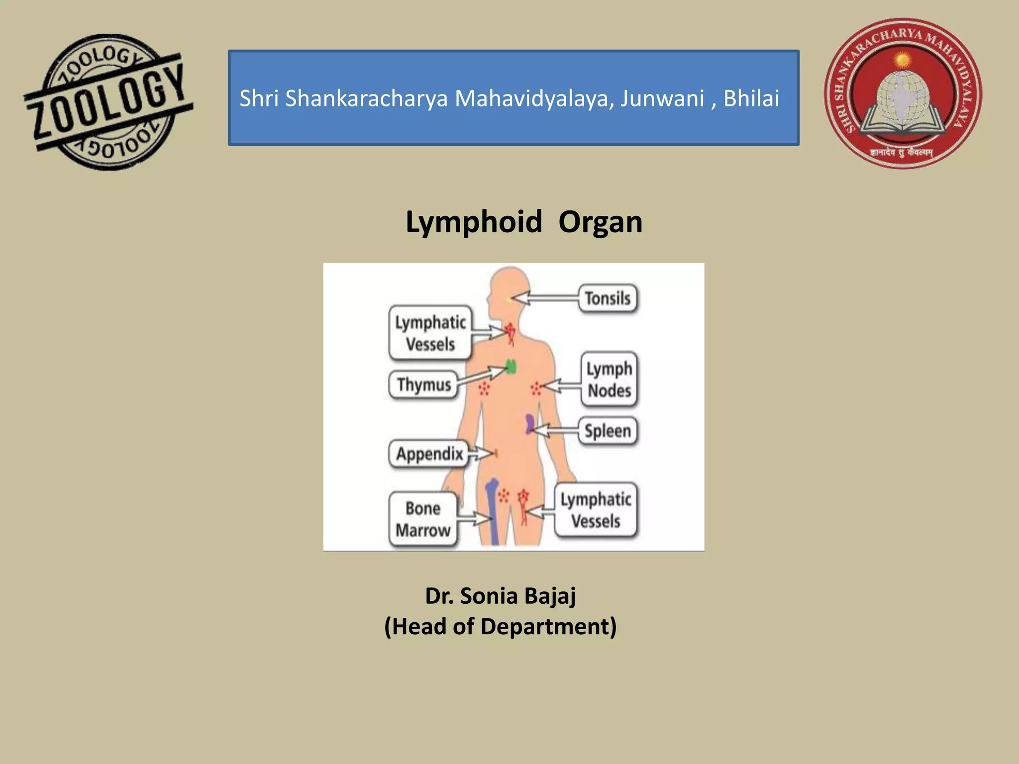 Lymphoid organ -Primary & secondary organ | PPTX