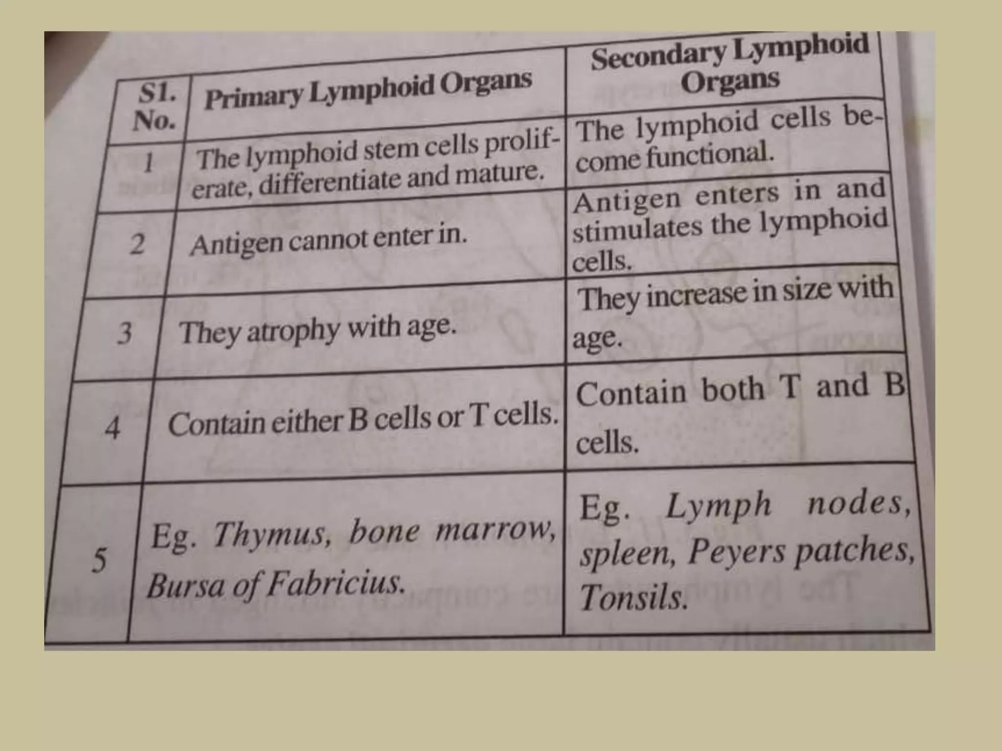 Lymphoid organ -Primary & secondary organ | PPTX