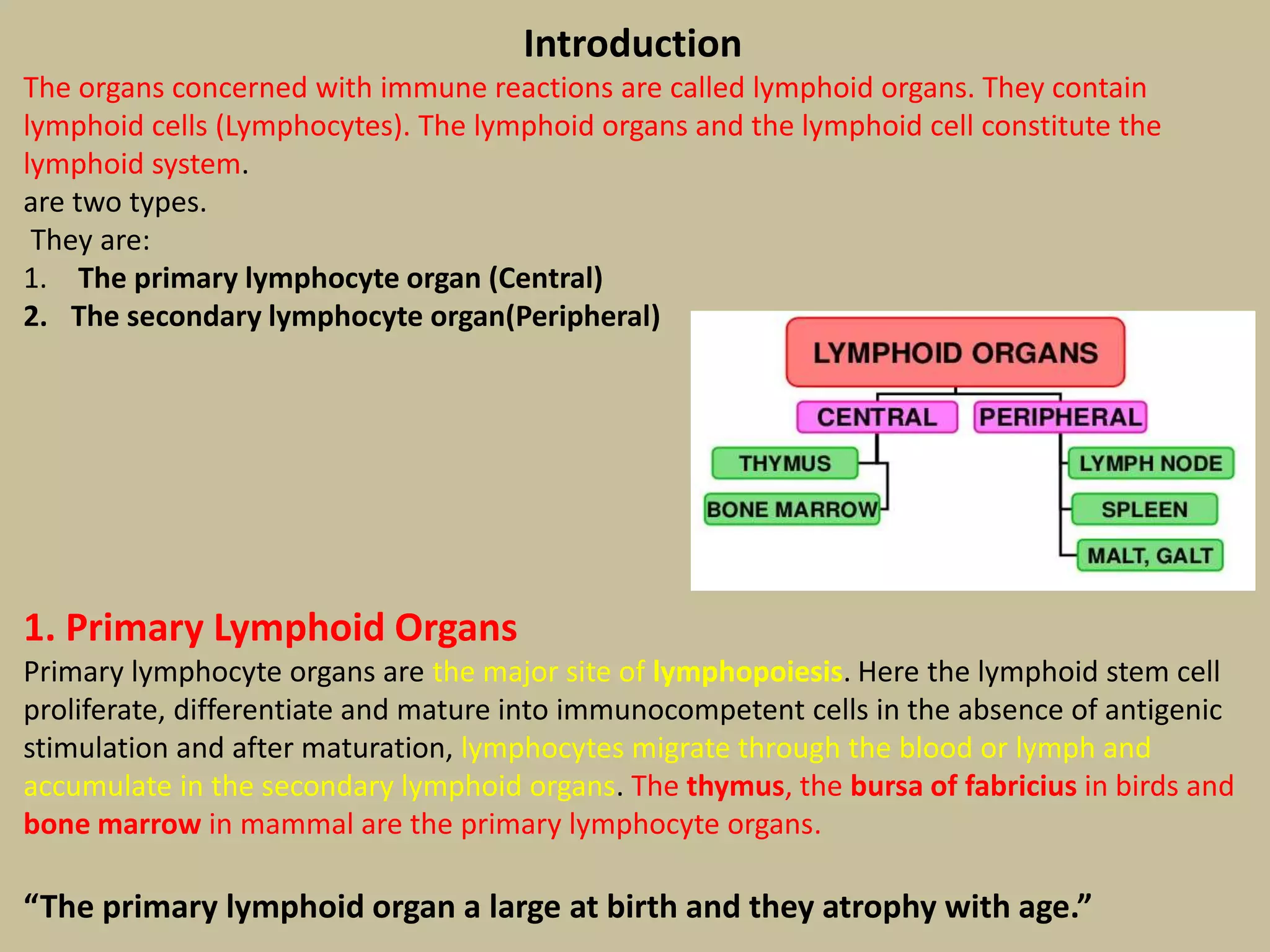 Lymphoid organ -Primary & secondary organ | PPTX