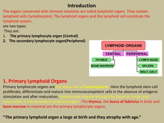 Lymphoid organ -Primary & secondary organ | PPTX
