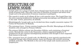 lymphoid organ anisha kazi.pptx