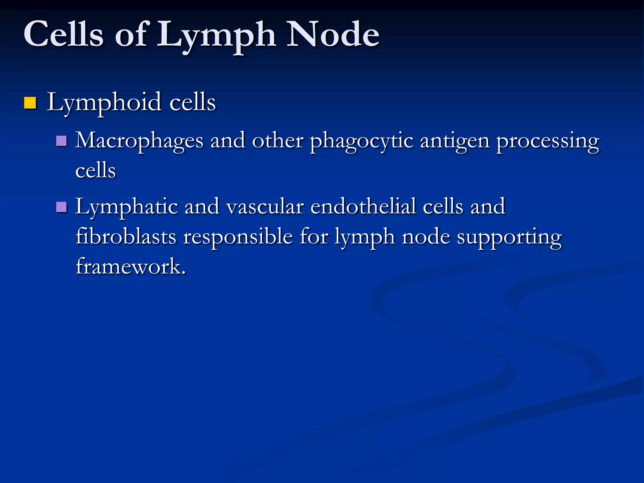 Lymphoid Organs | PDF