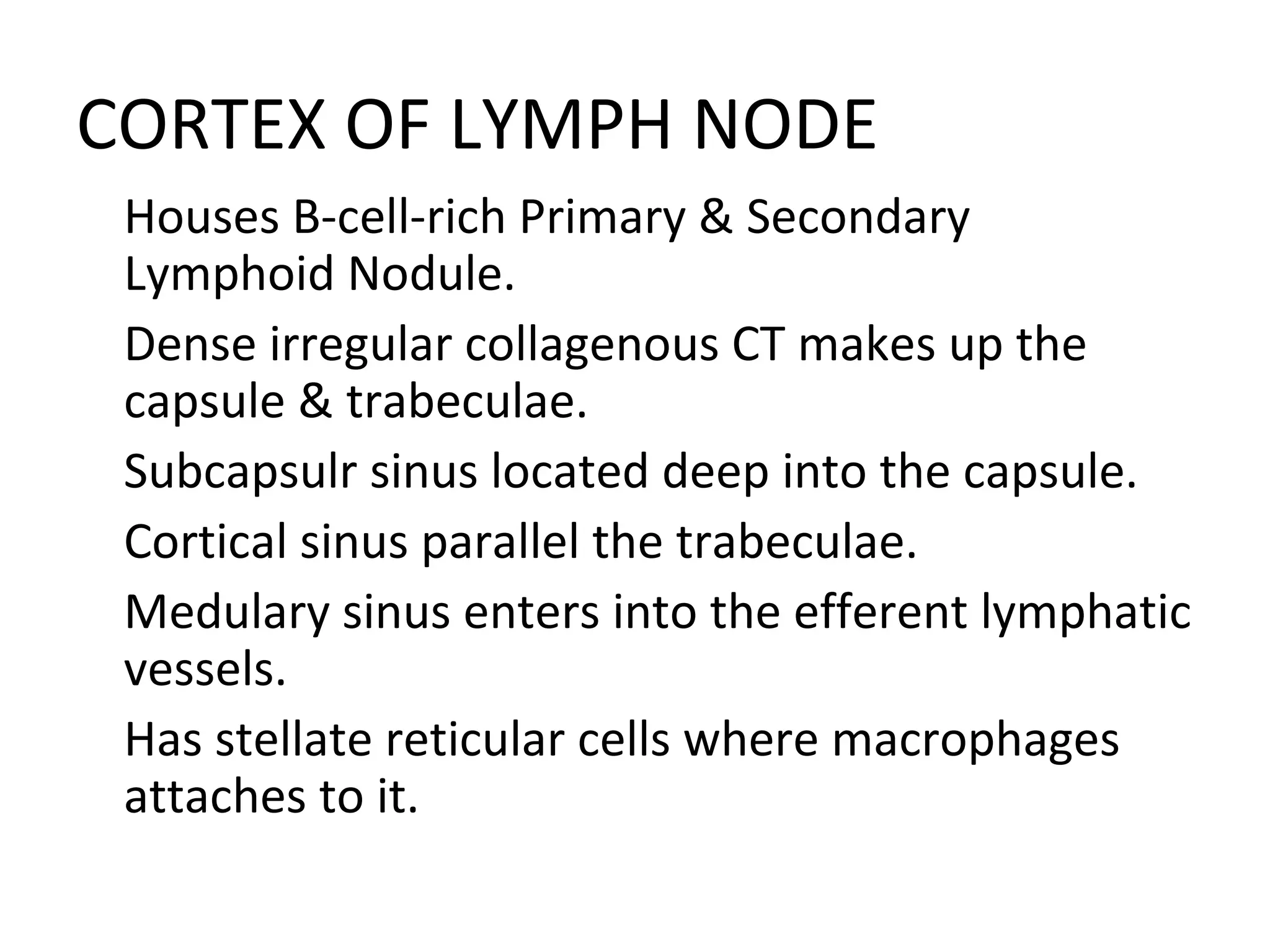 Lymphoid organs | PPT