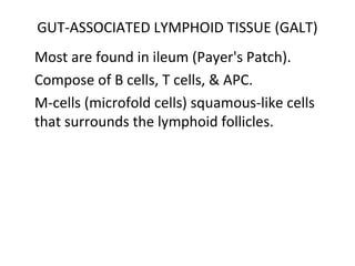Lymphoid organs | PPT | Biological Sciences | Science