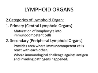 Lymphoid organs | PPT