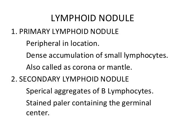 Lymphoid organs