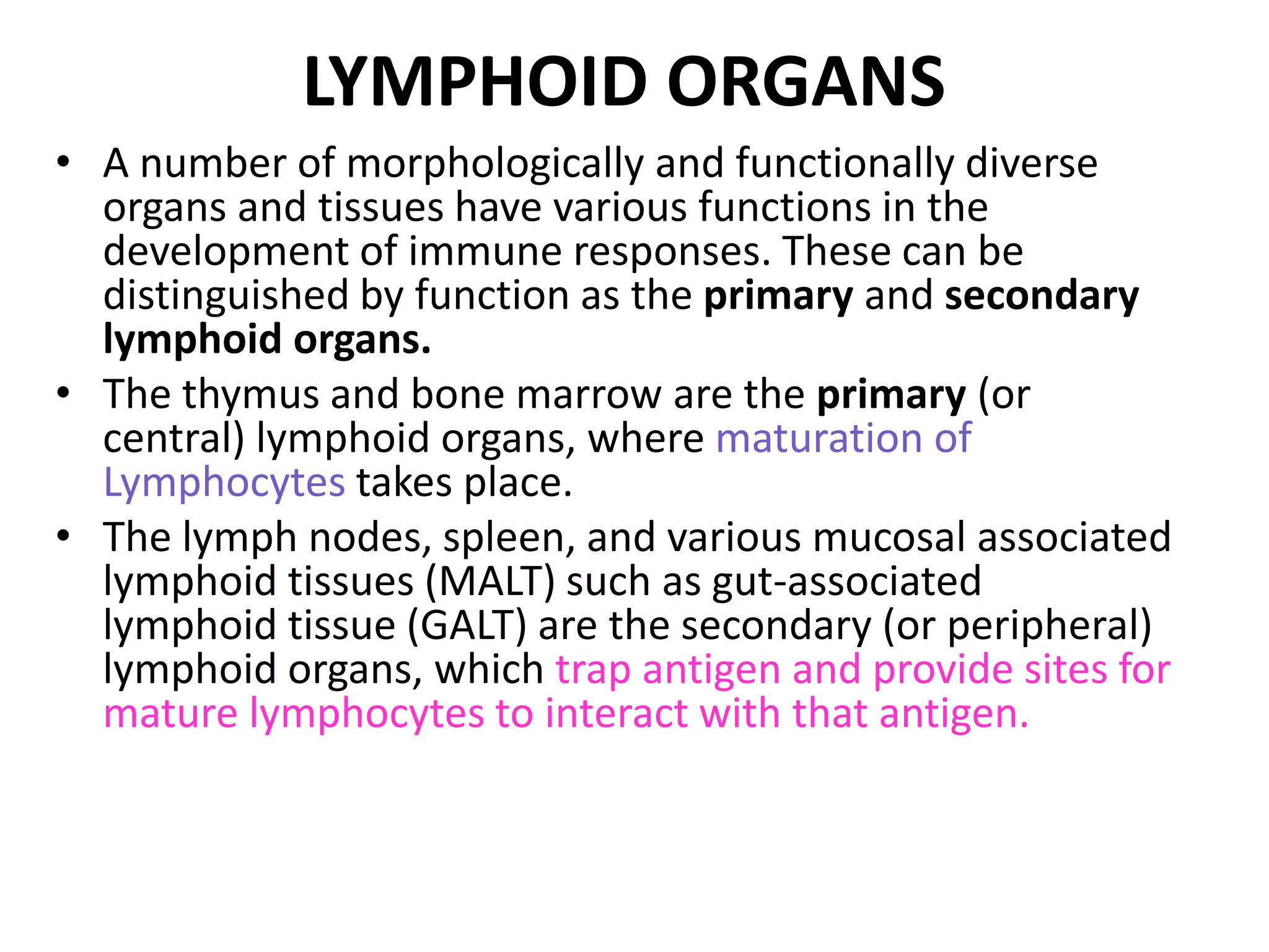 Lymphoid organs | PPT
