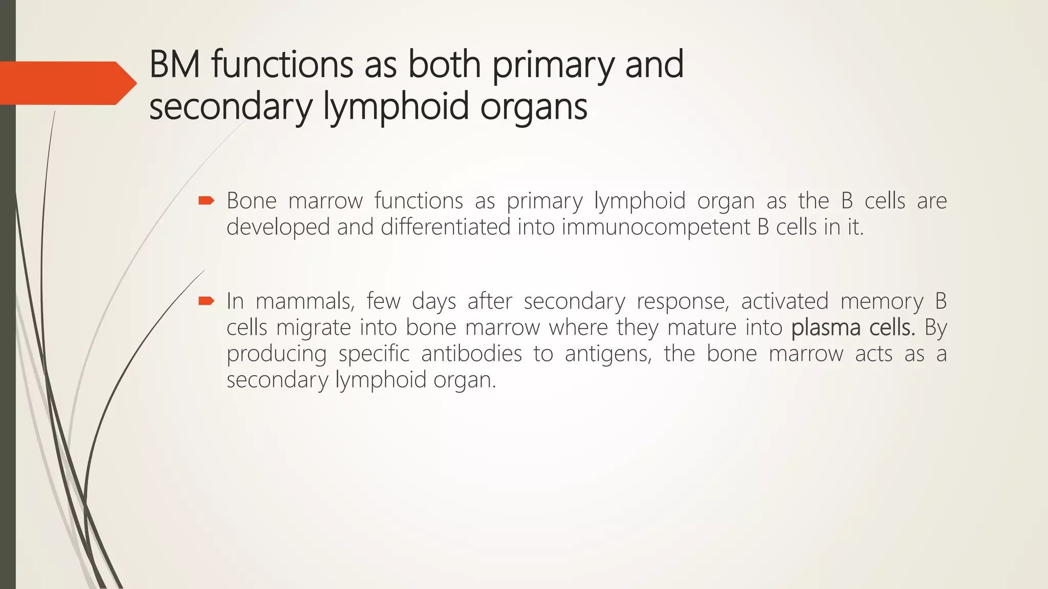 Lymphoid organs | PPTX