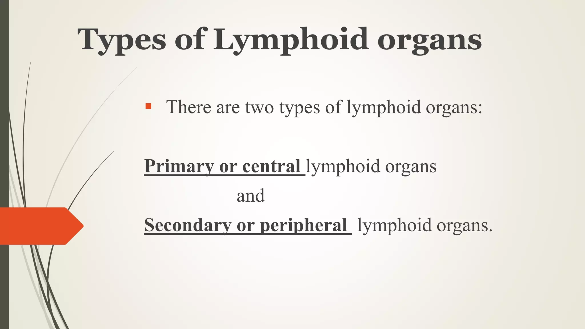 Lymphoid organs | PPTX