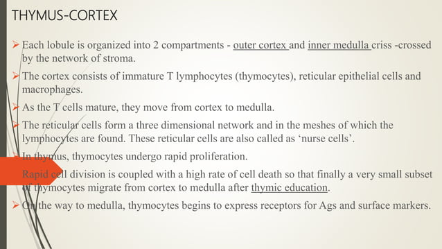 Lymphoid Organs Ppt 2642