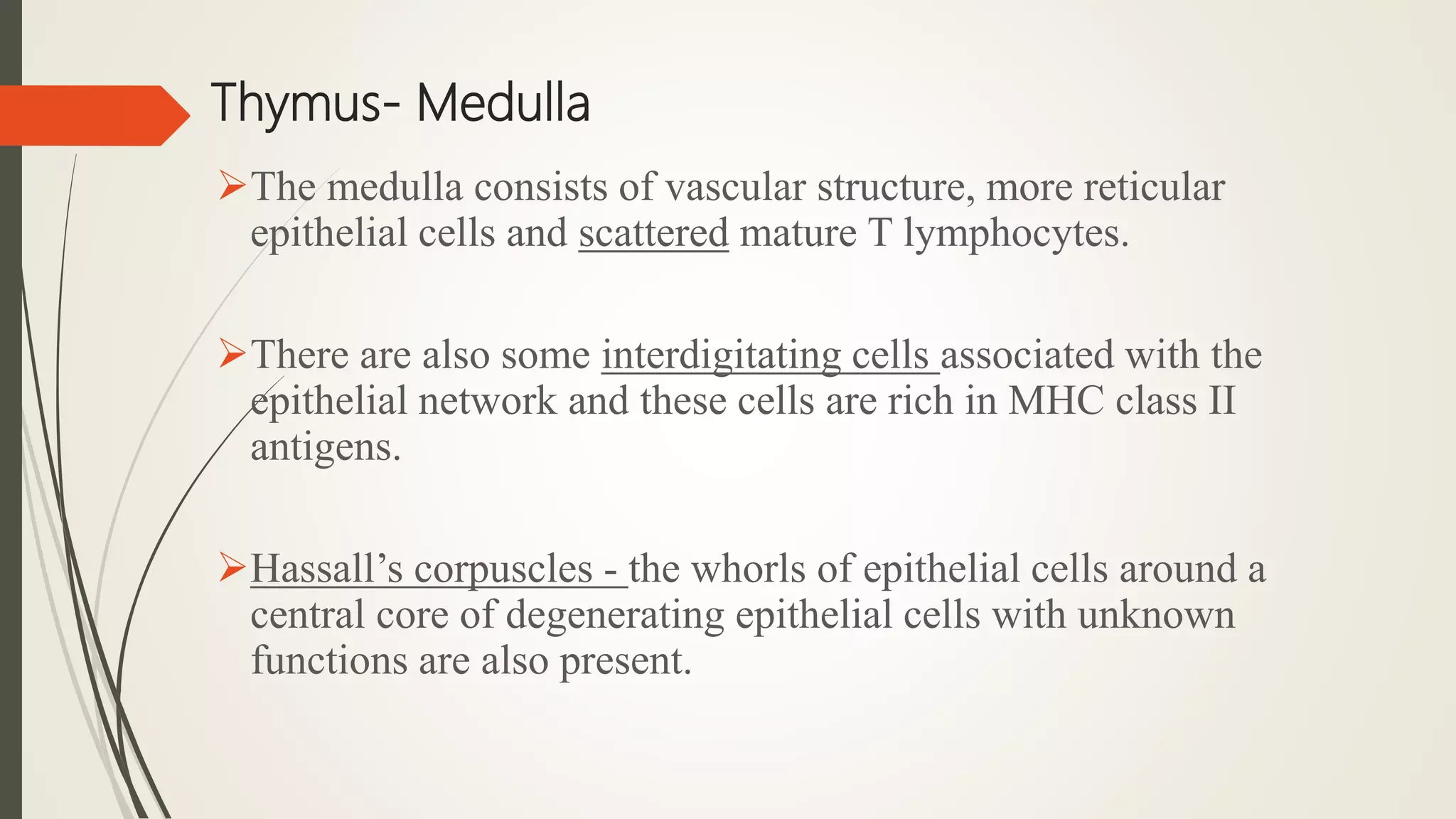 Lymphoid organs | PPTX