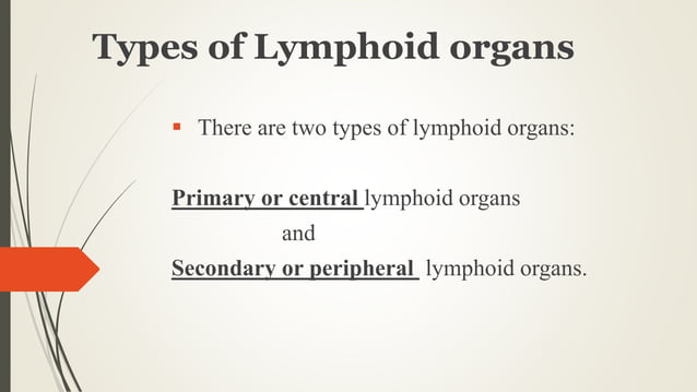 Lymphoid organs | PPT