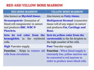 Primary and secondary lymphoid organs.ppt