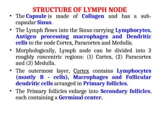 Primary and secondary lymphoid organs.ppt
