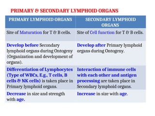 Primary and secondary lymphoid organs.ppt
